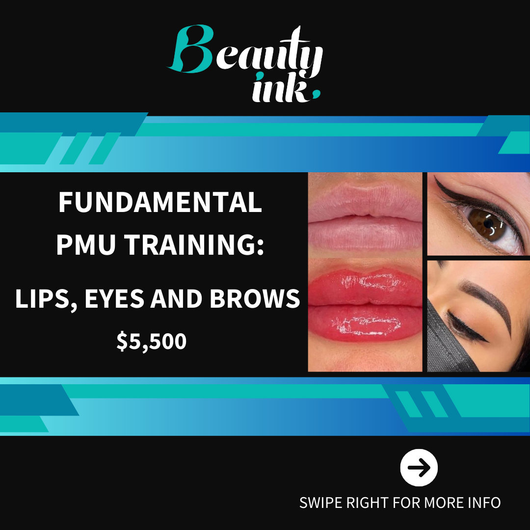 PMU TRAINING EYEBROWS• EYES• LIPS FUNDAMENTALS | Beauty Ink Studio ...